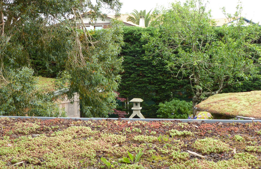 Toits végétalisés avec Bruno Ostanel, artisan paysagiste